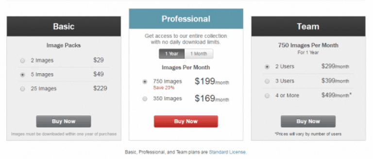 Shutterstock Overview - Stock Photo Guides